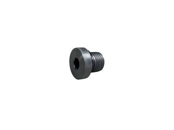 Screw plug VSTI R1/4" ED (OE) for Sörensen | Tail lift spare parts